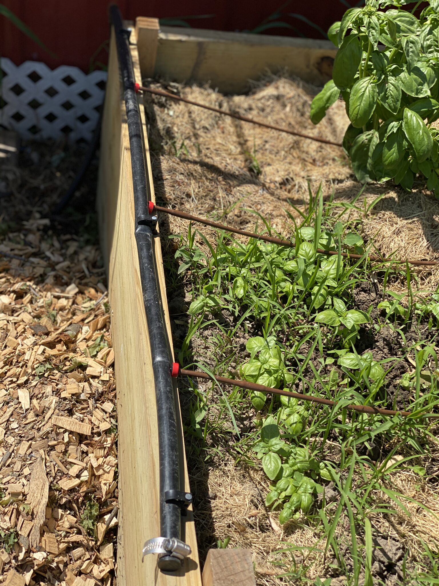 How to Quickly Install Drip Irrigation for your Raised Beds - Hearty Sol