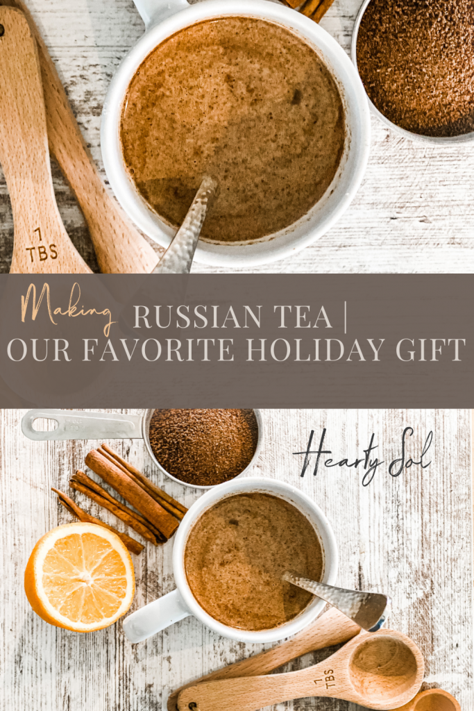 How to Make Russian Tea | A Holiday Gift Favorite! - Hearty Sol
