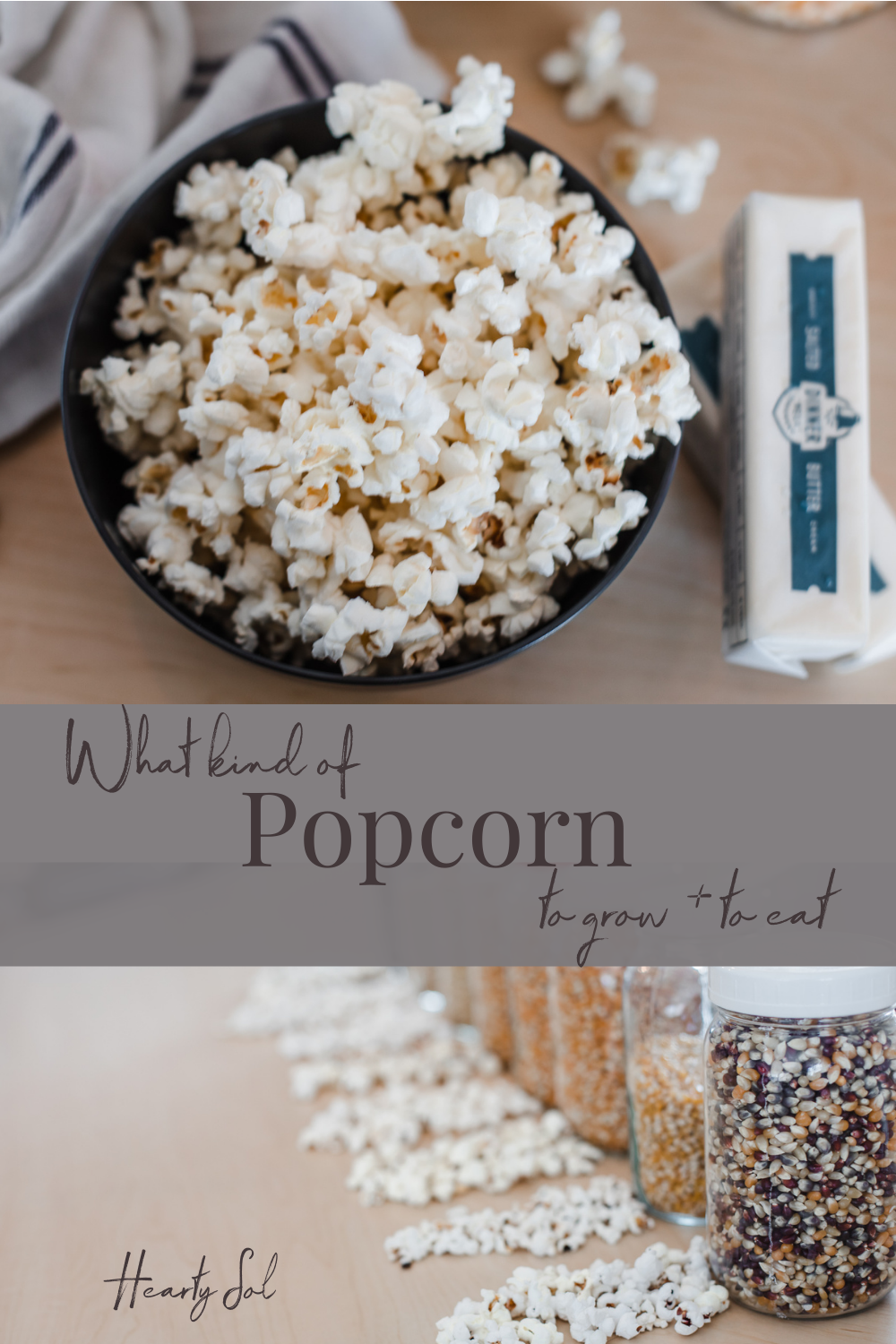 How to Grow and Make Popcorn | 15 Different Popcorn Recipes - Hearty Sol