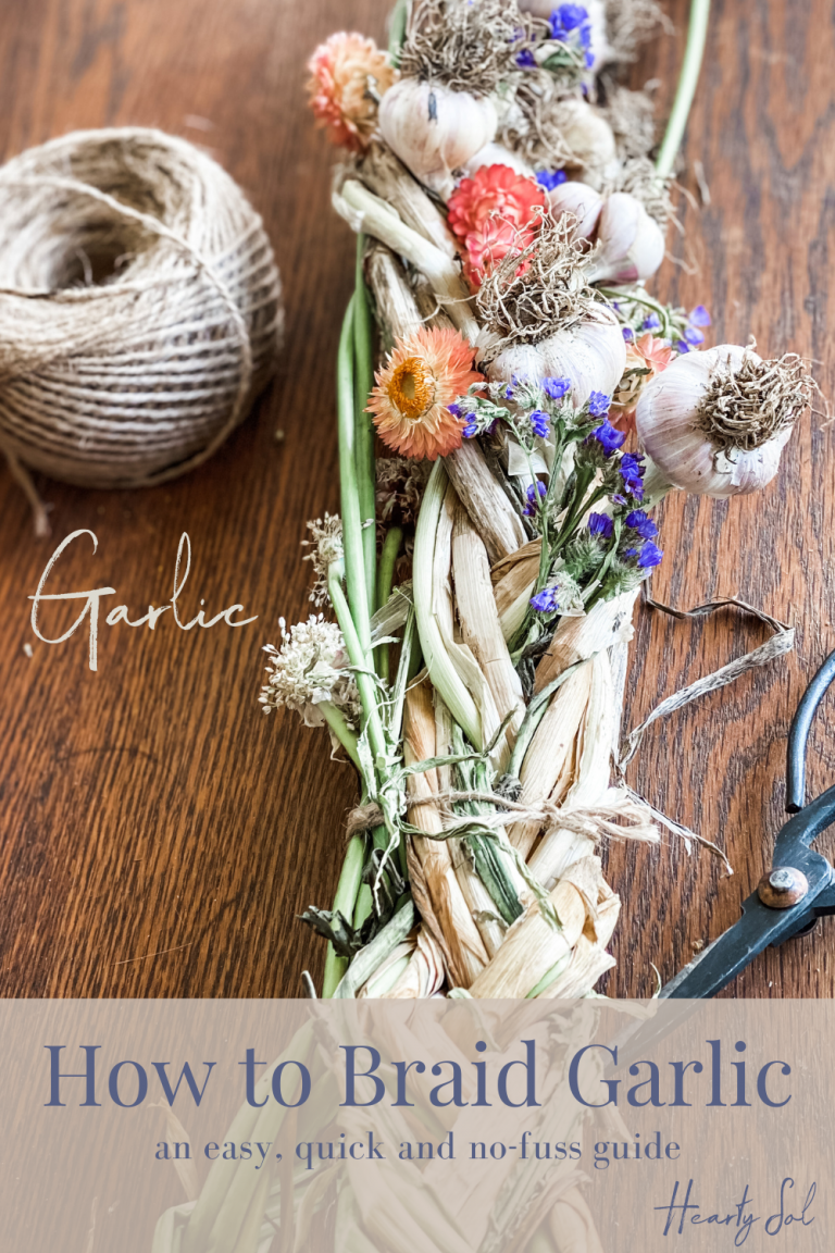 How to Braid Garlic for Storage - Hearty Sol