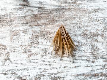 How to Make Paper Stars Using Parchment Paper - Hearty Sol