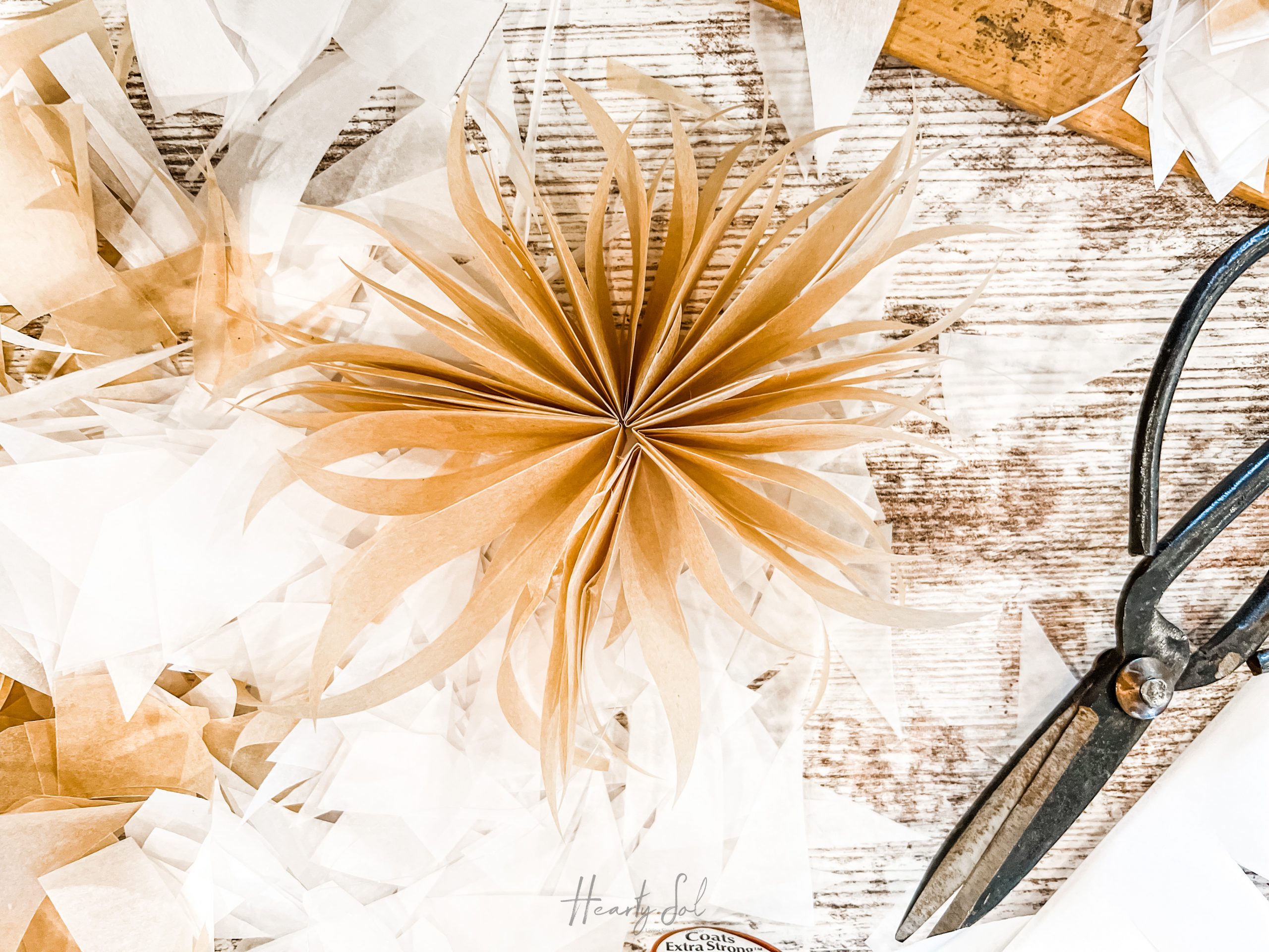 How to Make Paper Stars Using Parchment Paper - Hearty Sol