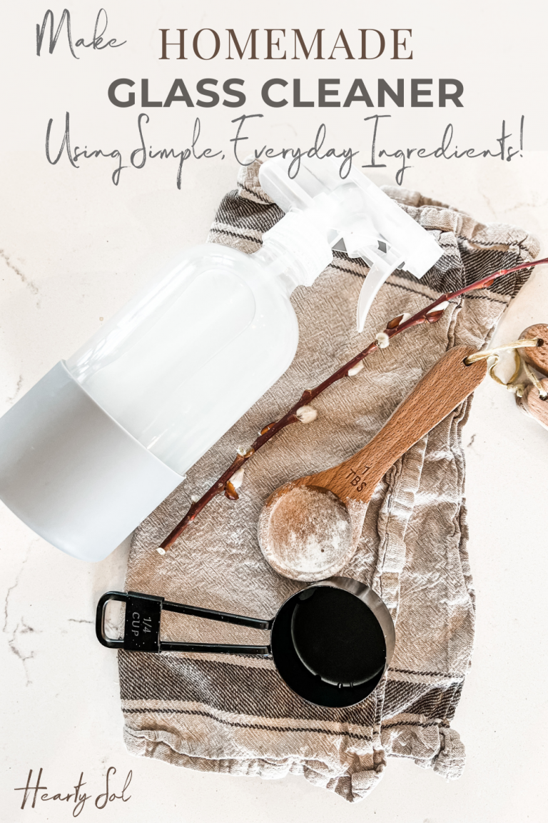 How to Make Homemade Streak-Free Window Cleaner - Hearty Sol