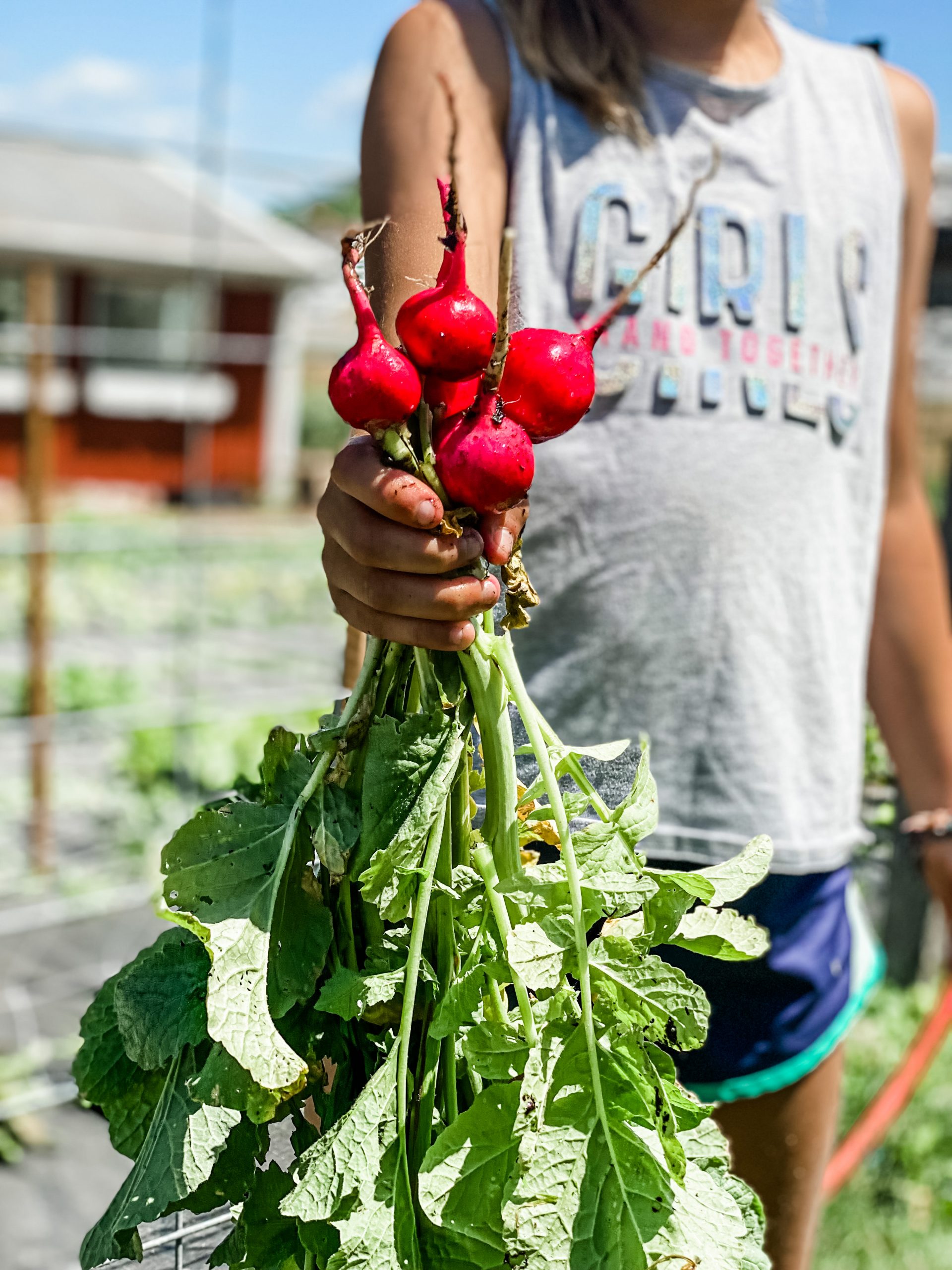 Top 12 Most Used and Favorite Garden Tools and Essentials