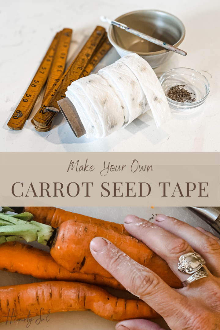 How to Make your own Carrot Seed Tape - Hearty Sol