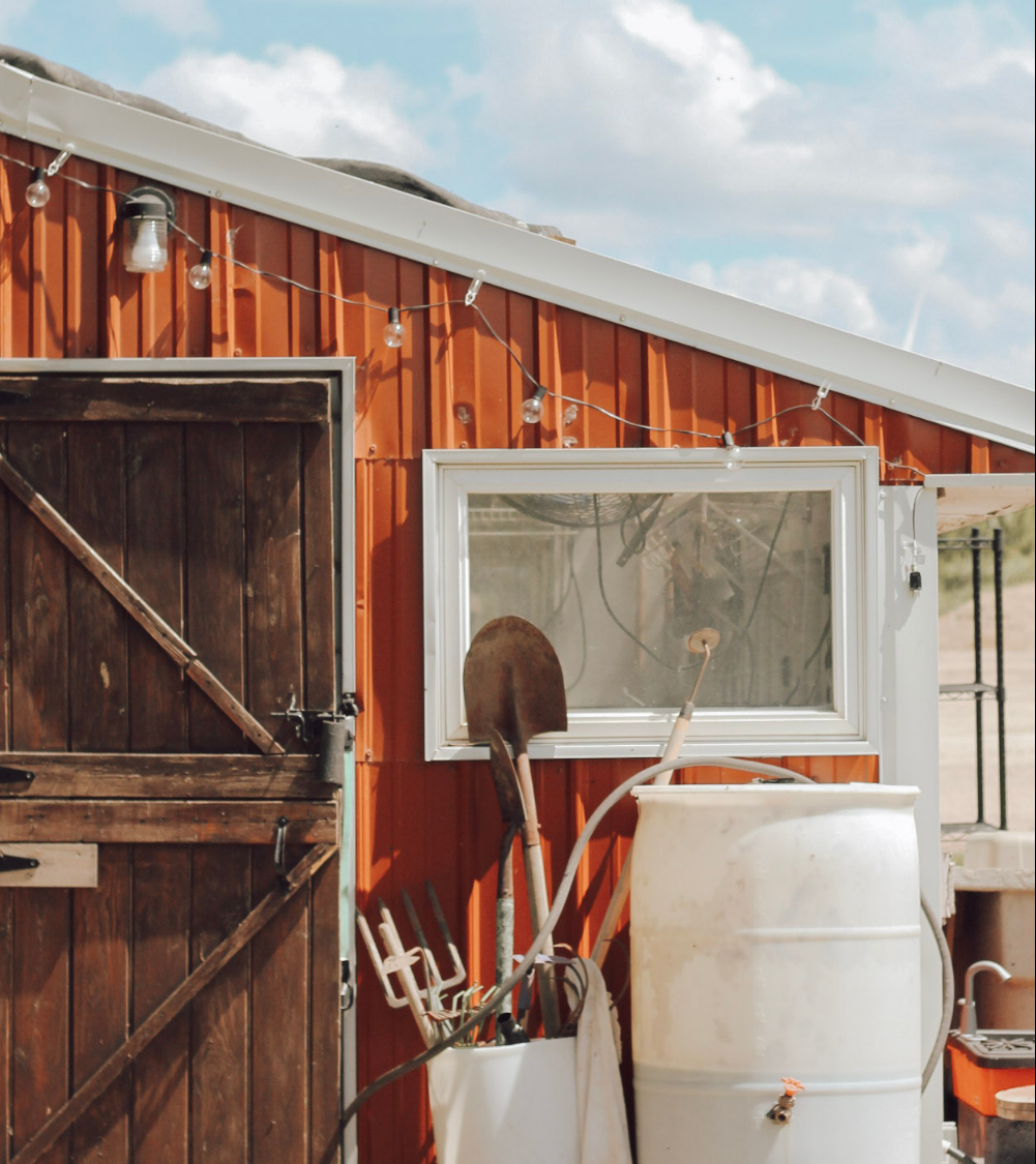 Top 12 Most Used and Favorite Garden Tools and Essentials