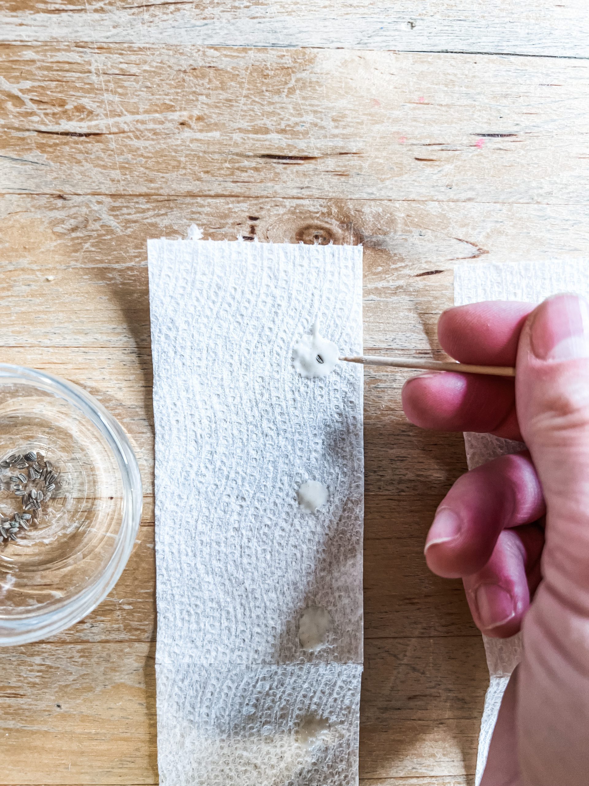 How to Make your own Carrot Seed Tape - Hearty Sol