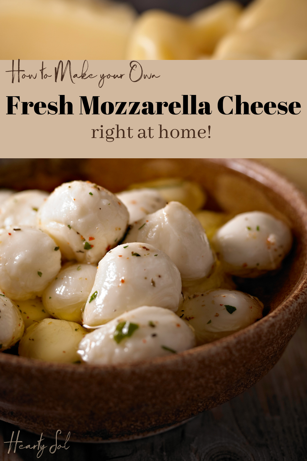 How to make your own Savory Mozzarella Cheese - Hearty Sol