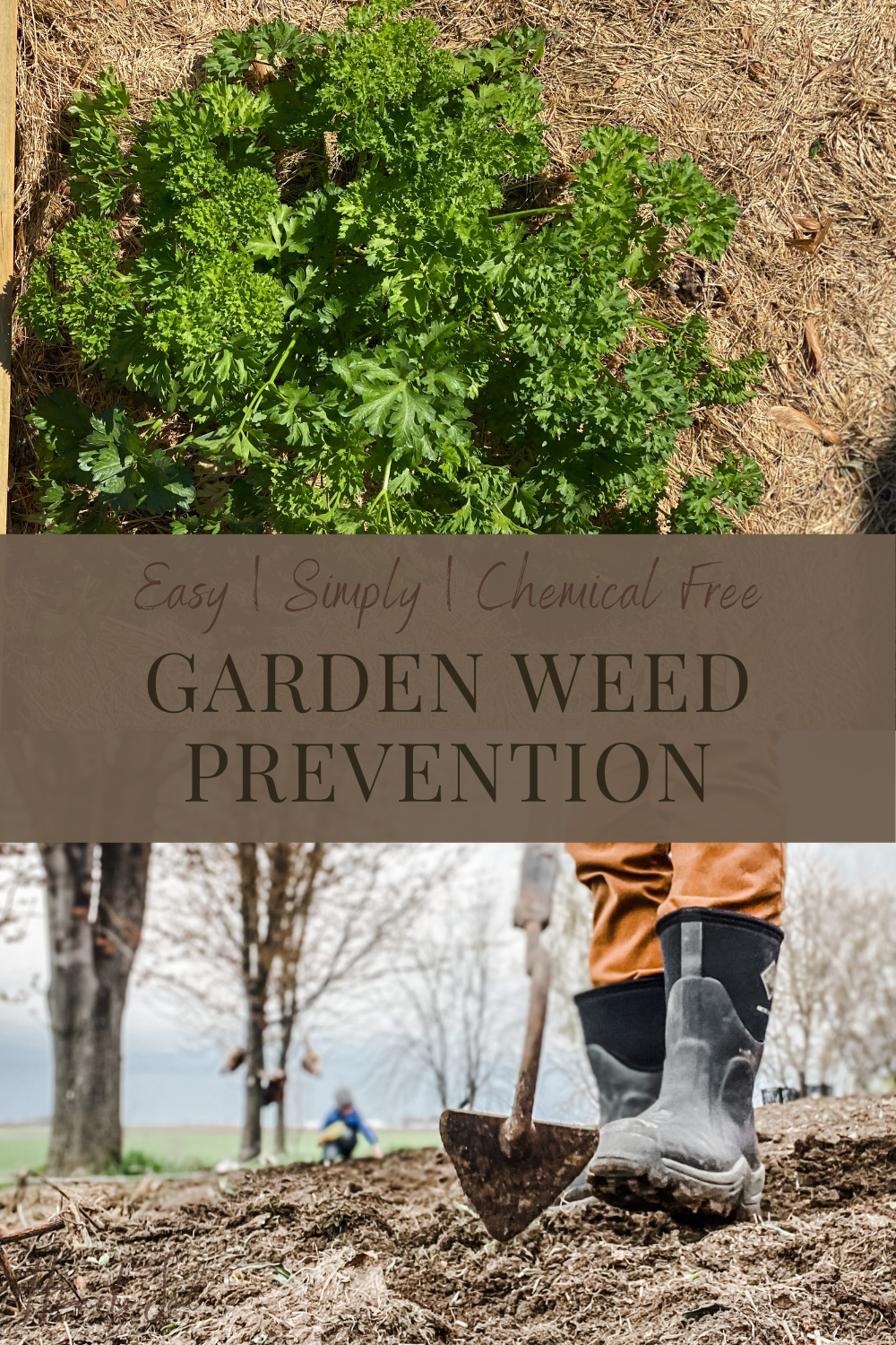 The Best Way to Keep your Garden Weed-Free: Ruth Stout Method - Hearty ...