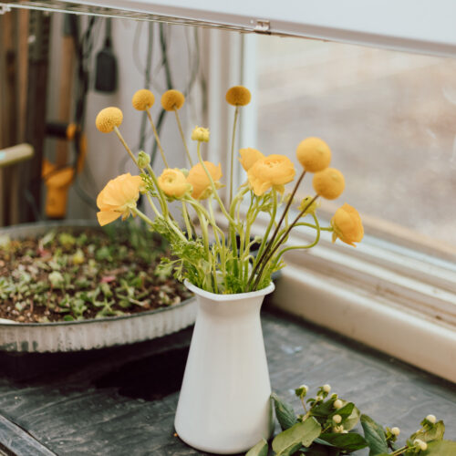 How to make Homemade Flower Food for lasting Fresh Flowers - Hearty Sol