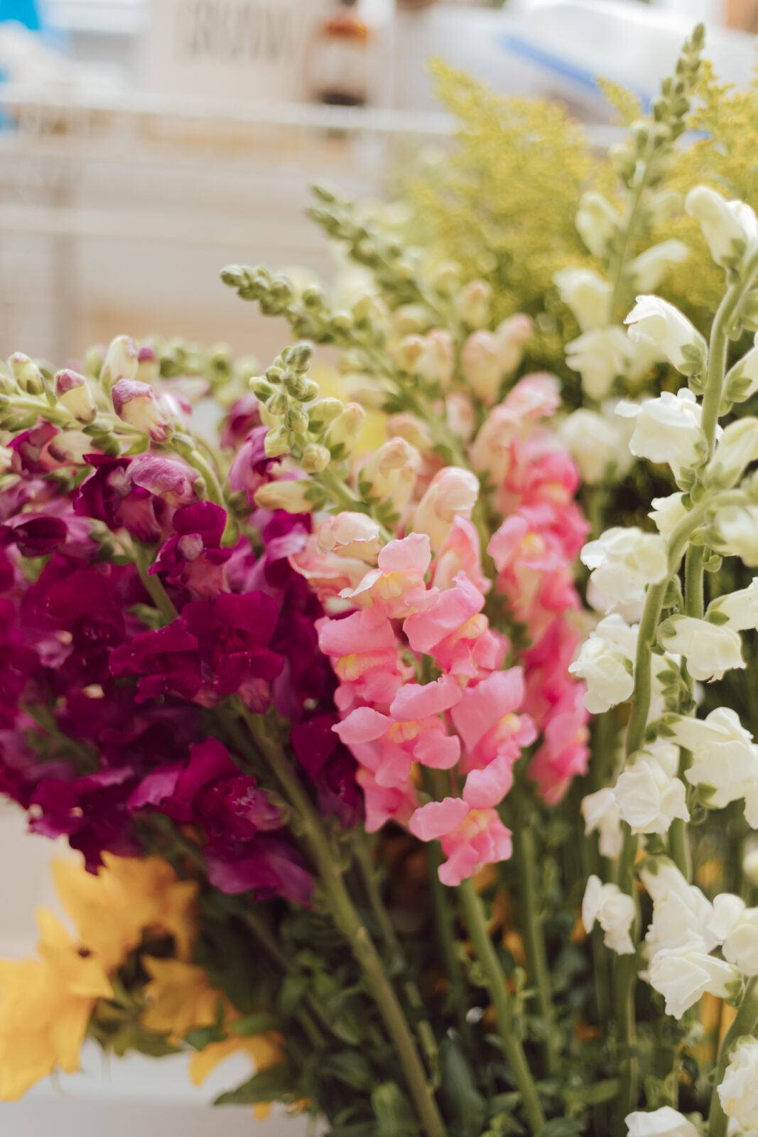 How to Extend the Life of your Fresh Flowers - Hearty Sol