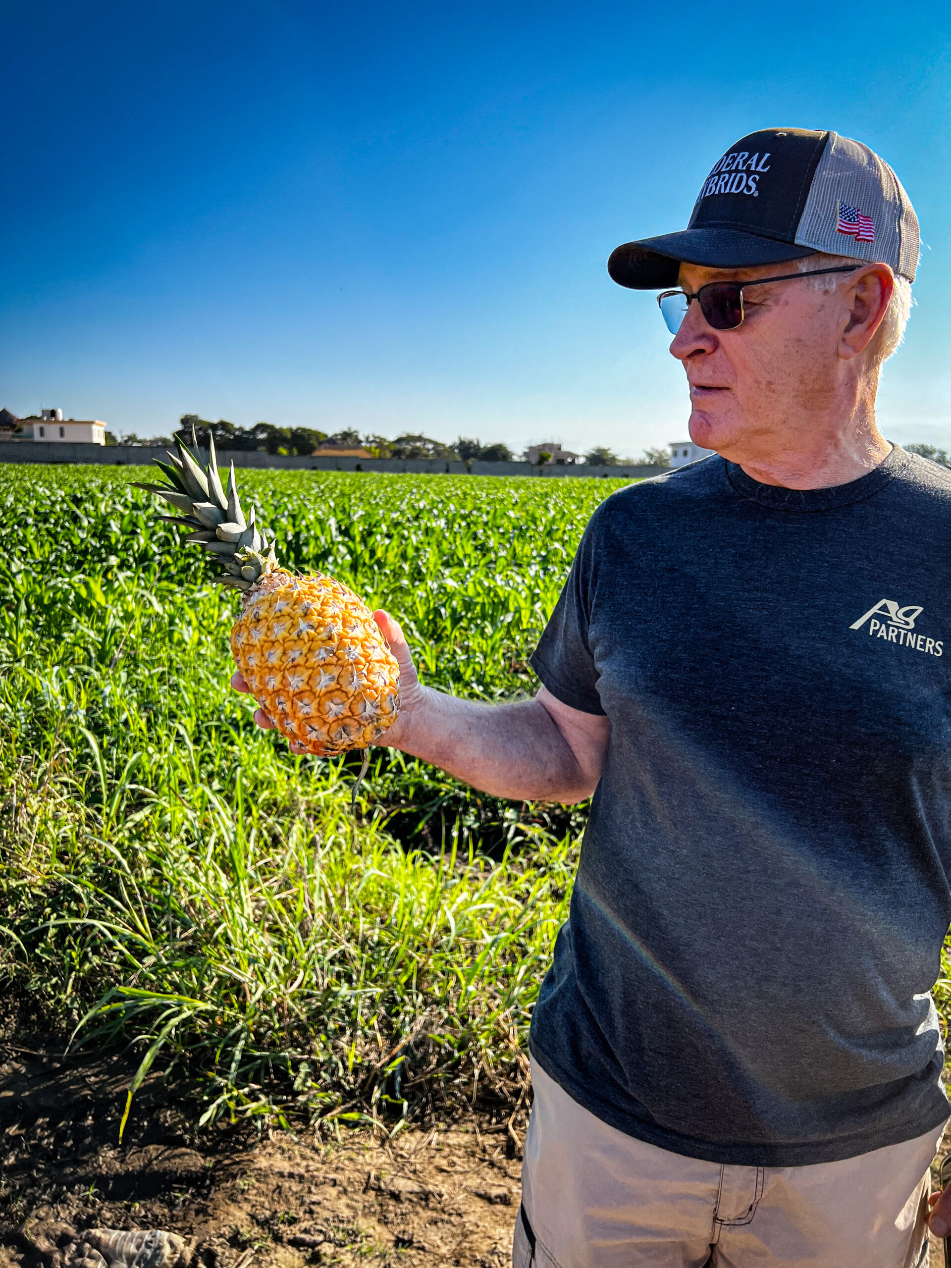 Our Experience Touring Mexico's Agricultural Areas - Hearty Sol