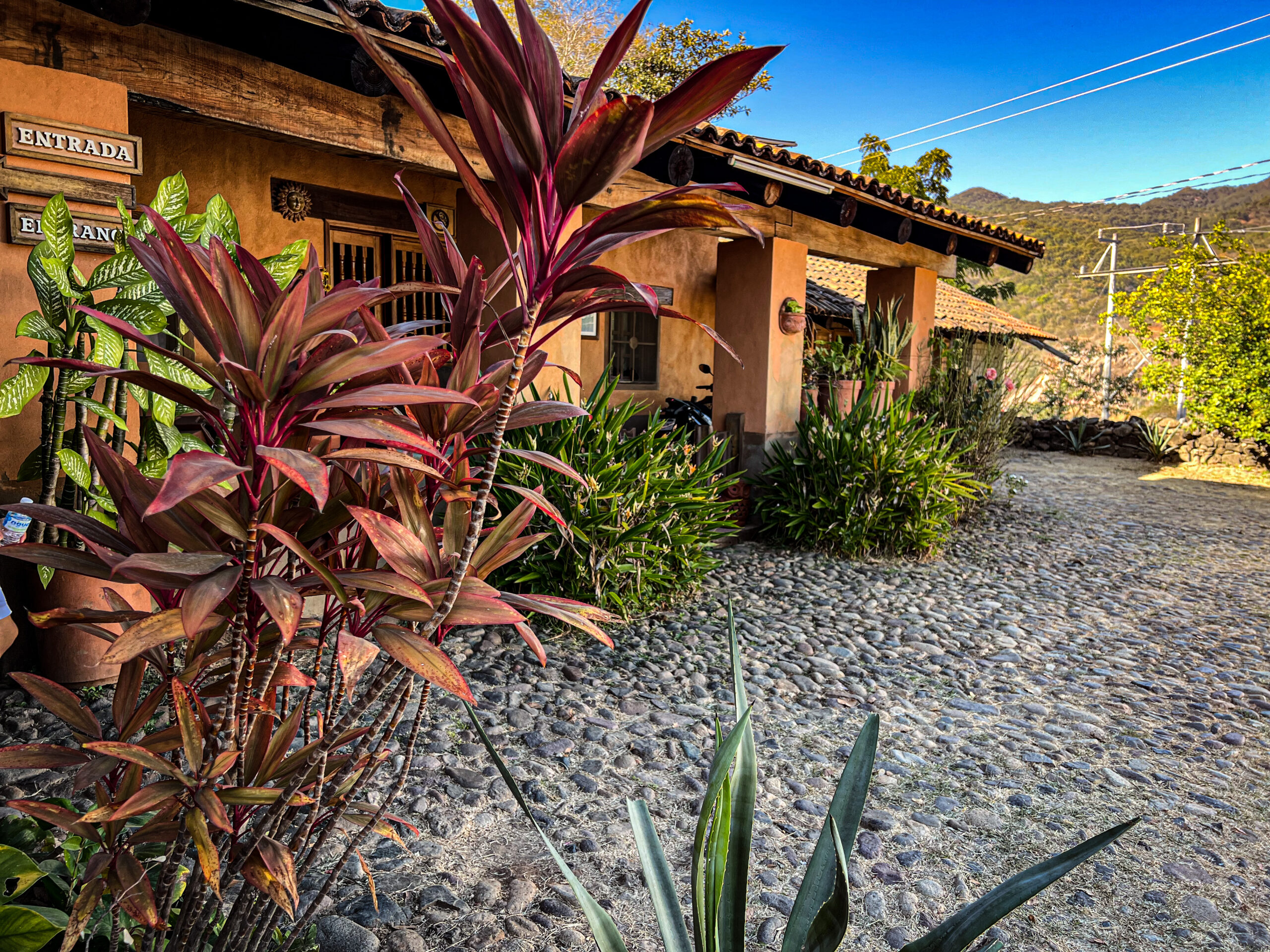 Our Experience Touring Mexico's Agricultural Areas - Hearty Sol
