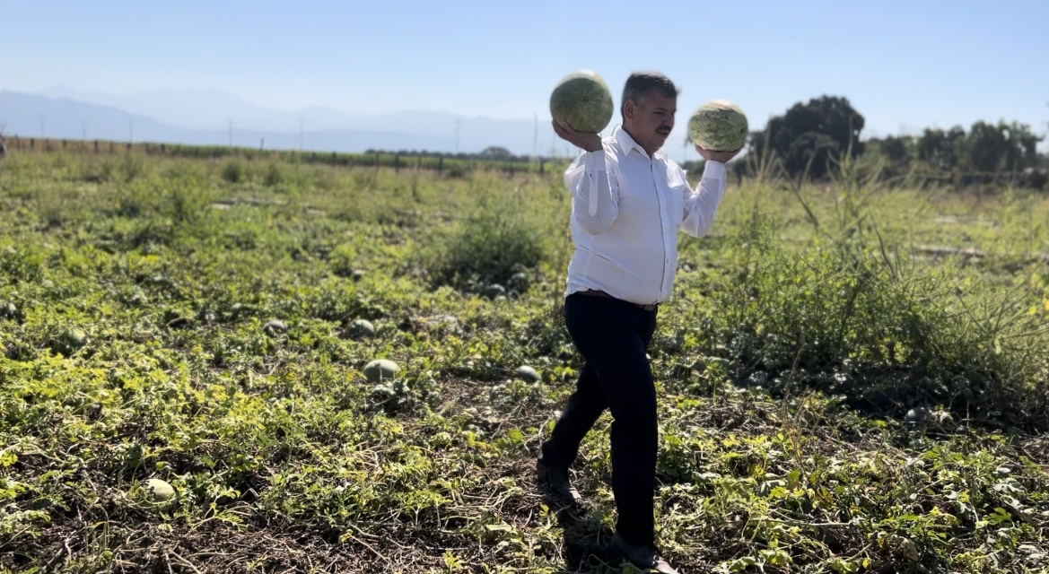 Our Experience Touring Mexico's Agricultural Areas - Hearty Sol