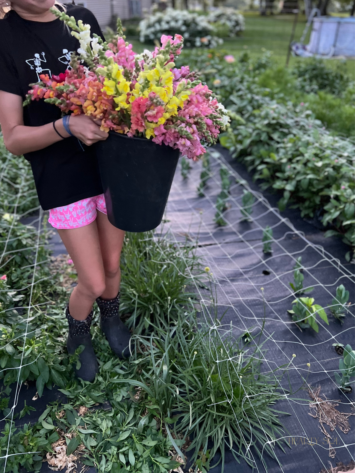 Local Flower Farm | Floral DIY Buckets - Hearty Sol