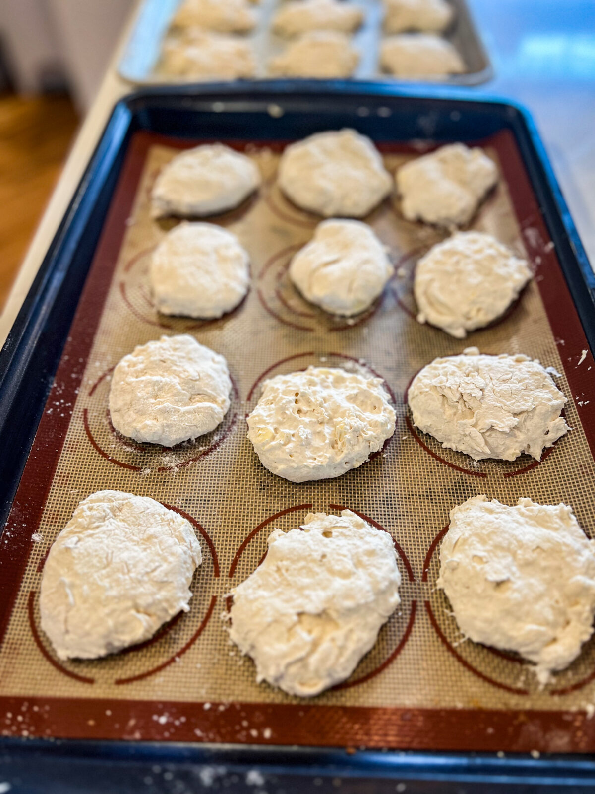 How to Make My Buttery-Layered Biscuits - Hearty Sol