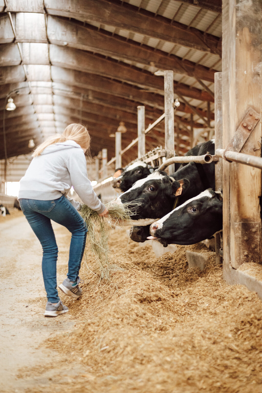 The Tragedy of Our Time: Is This the End of Our Family's Farm? - Hearty Sol