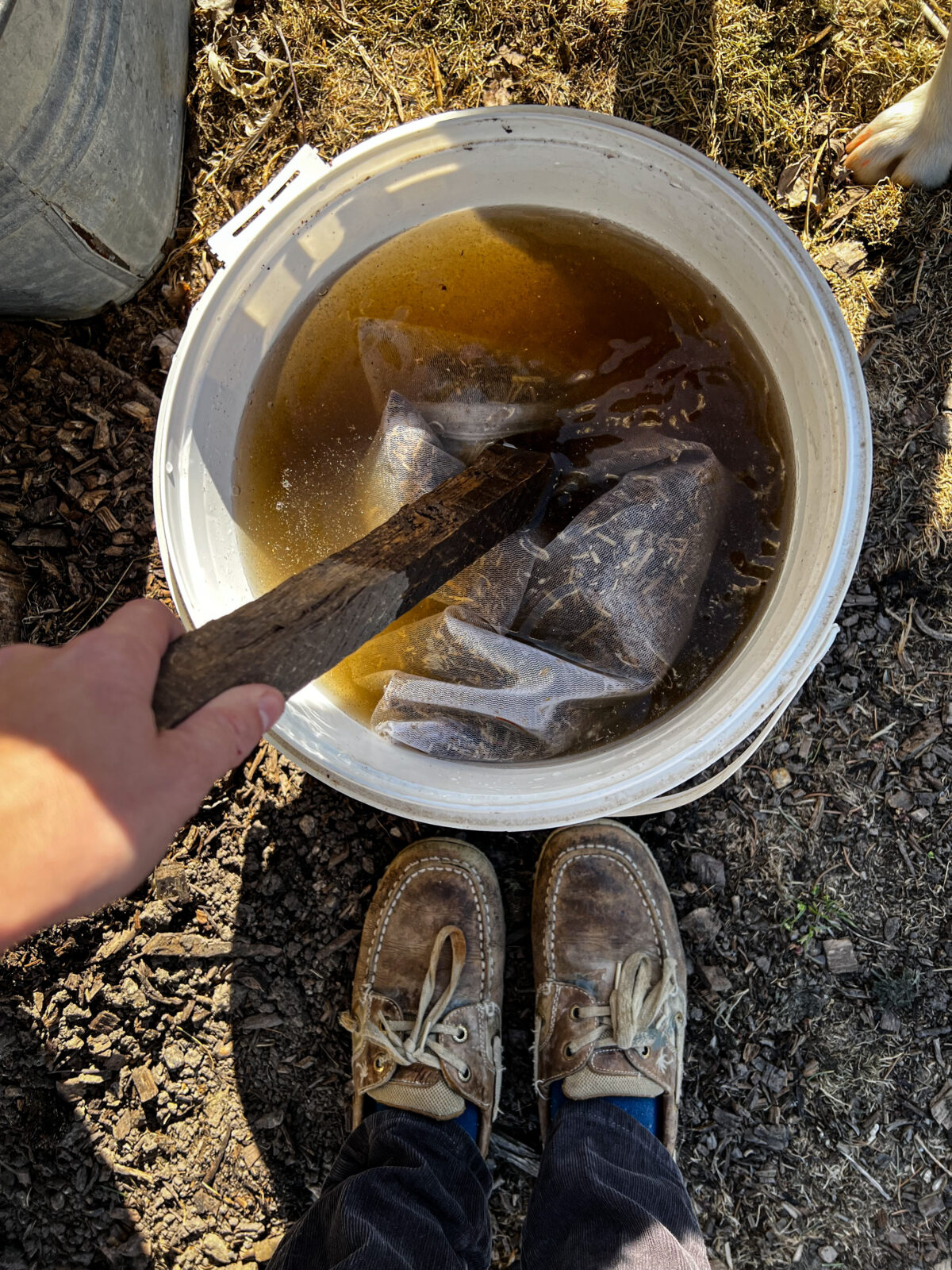 How to Make Composted Rabbit Tea - Hearty Sol