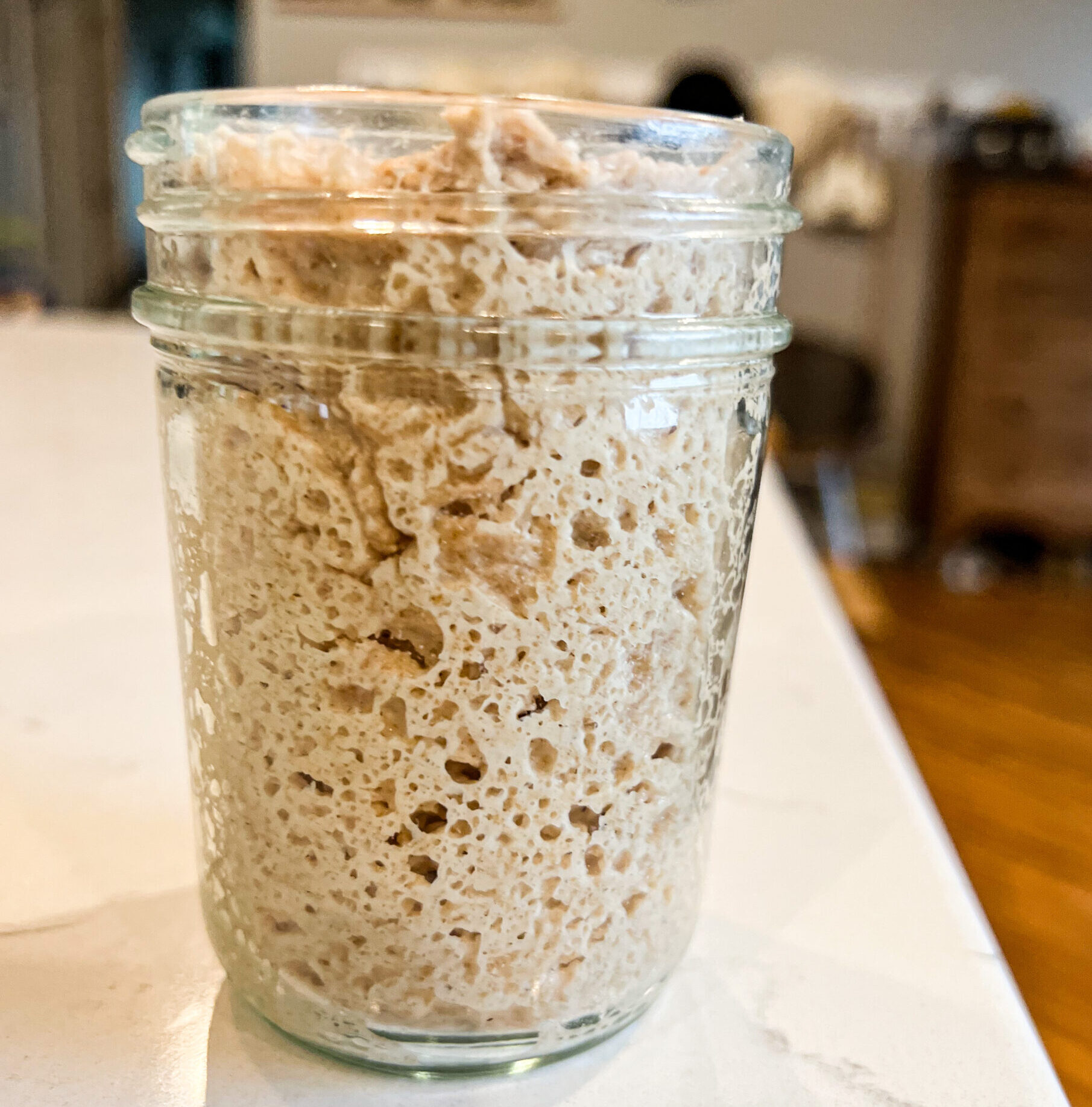 How to keep an Easier Sourdough Starter | Dry Starter Recipe - Hearty Sol