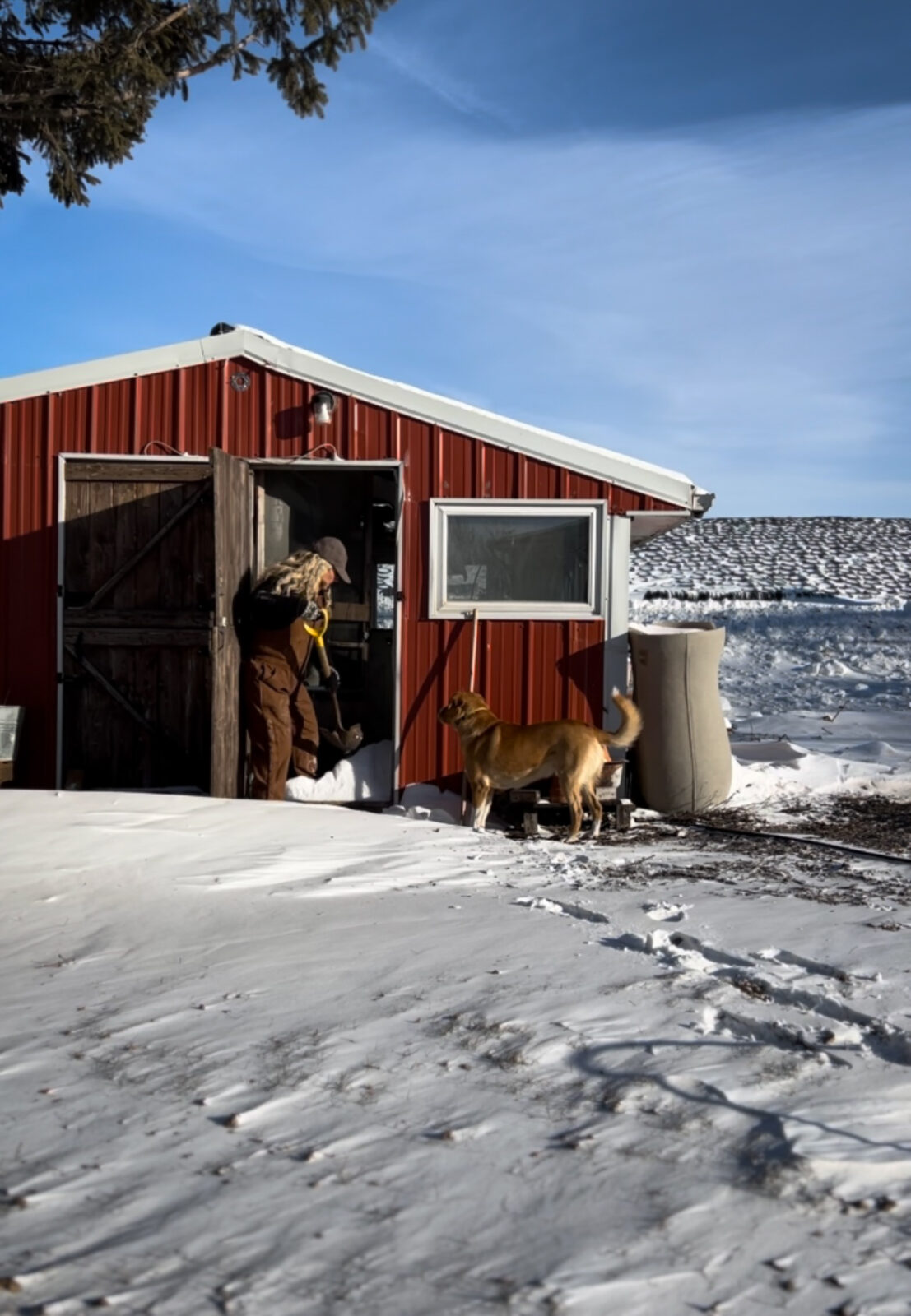 Embracing the Warmth Within | Winter Resilience Training - Hearty Sol