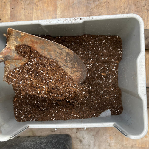 How to Make the Best Soil Block Mix for your Seedlings - Hearty Sol