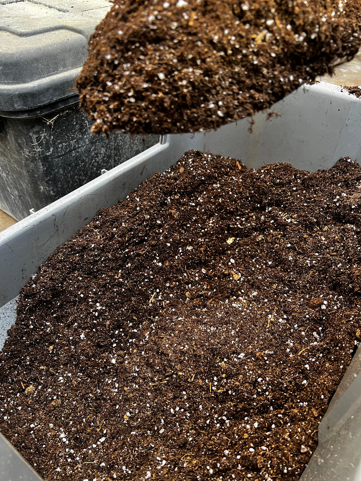 How to Make the Best Soil Block Mix for your Seedlings - Hearty Sol