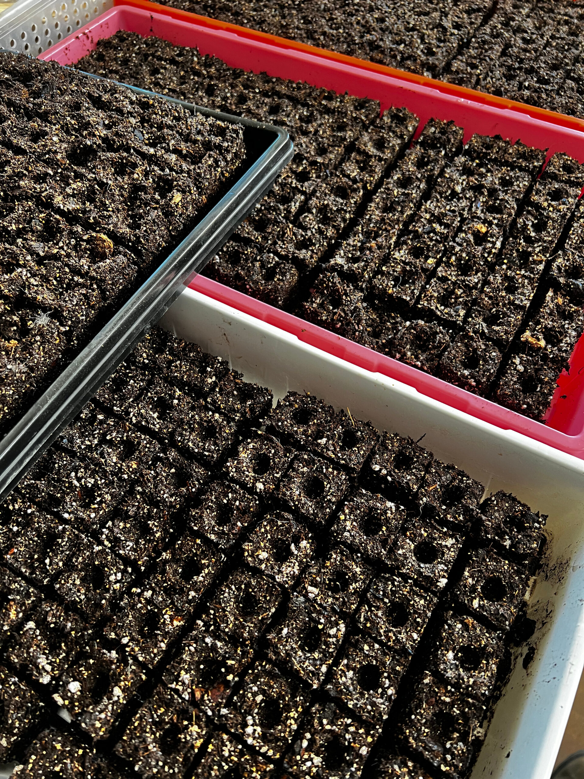 Soil Blocking 101: A Sustainable Seed Starting Method