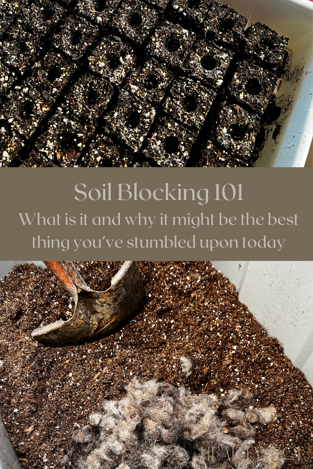 Soil Blocking 101: A Sustainable Seed Starting Method