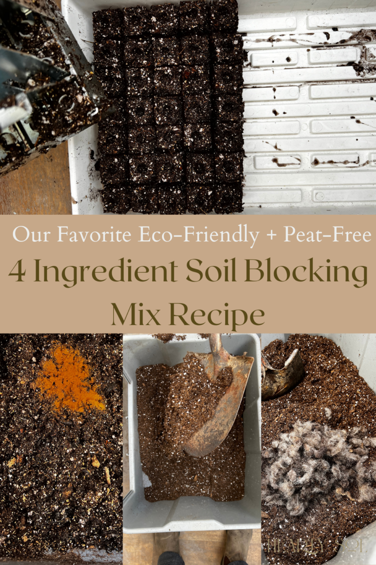 How to Make the Best Soil Block Mix for your Seedlings - Hearty Sol