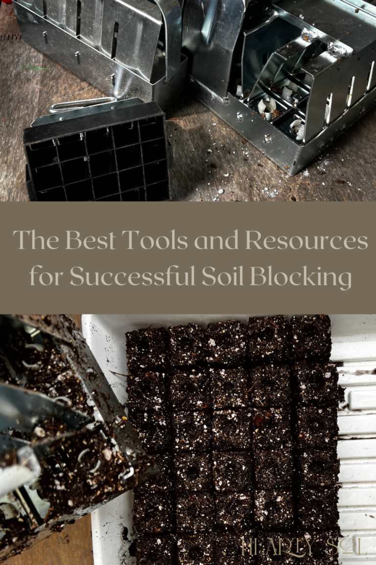 The Best Tools and Resources for Successful Soil Blocking - Hearty Sol