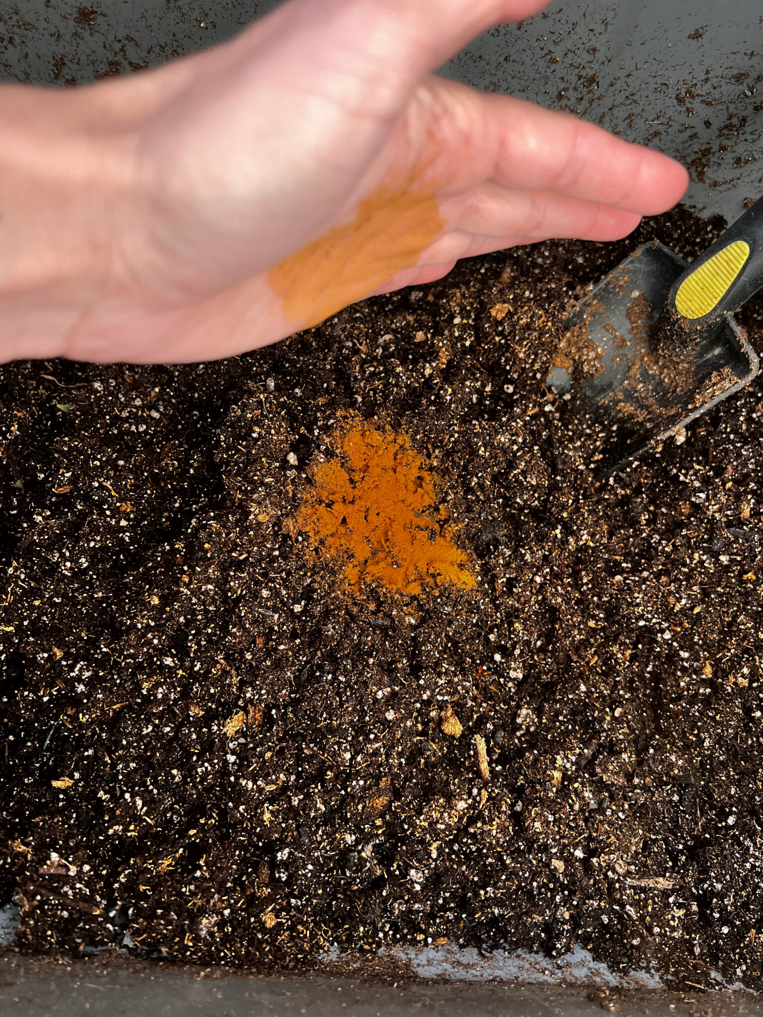 How to Make the Best Soil Block Mix for your Seedlings - Hearty Sol
