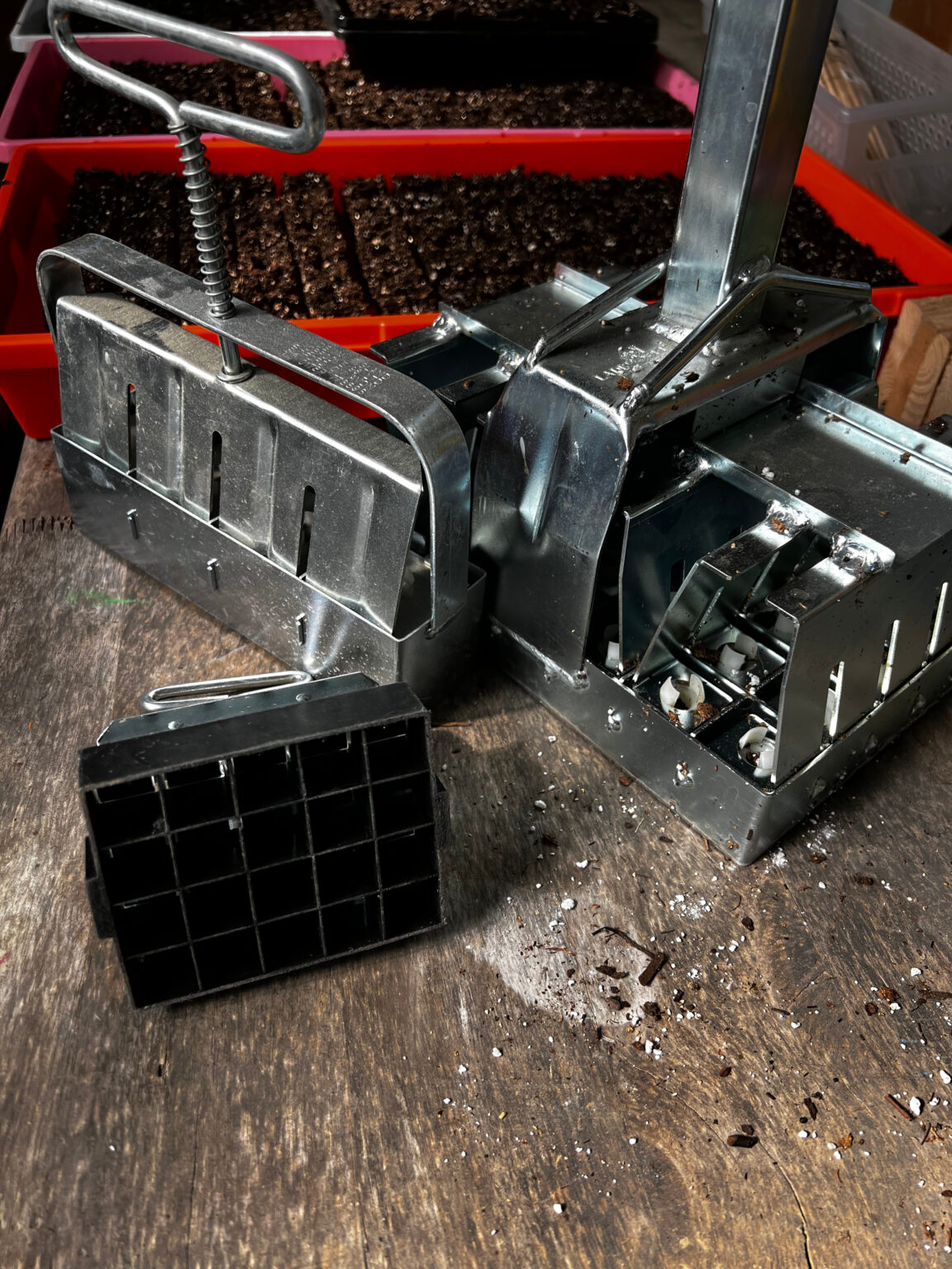 The Best Tools and Resources for Successful Soil Blocking - Hearty Sol