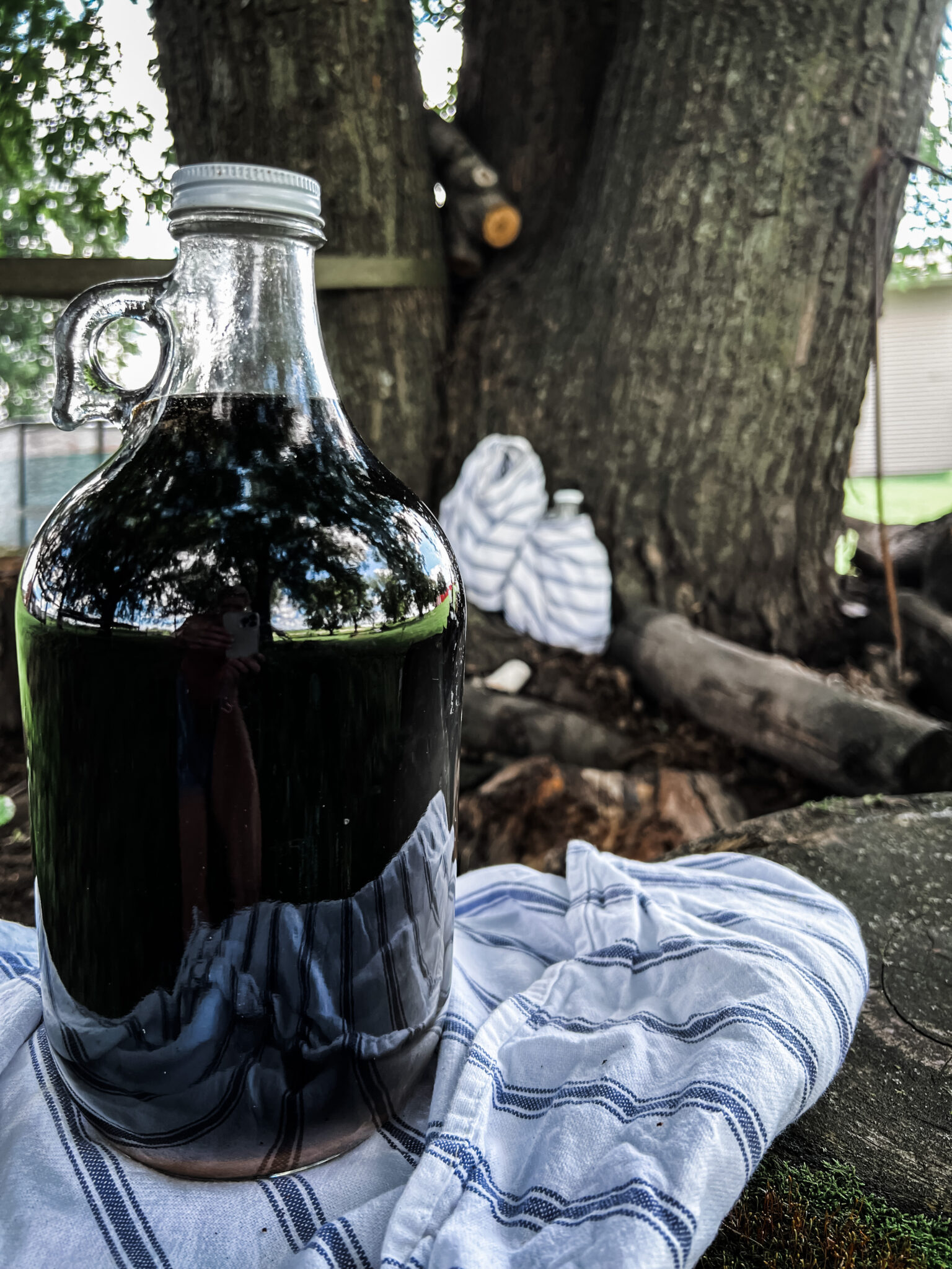 Brewing Homemade Root Beer from Scratch | Just 5 Ingredients! - Hearty Sol