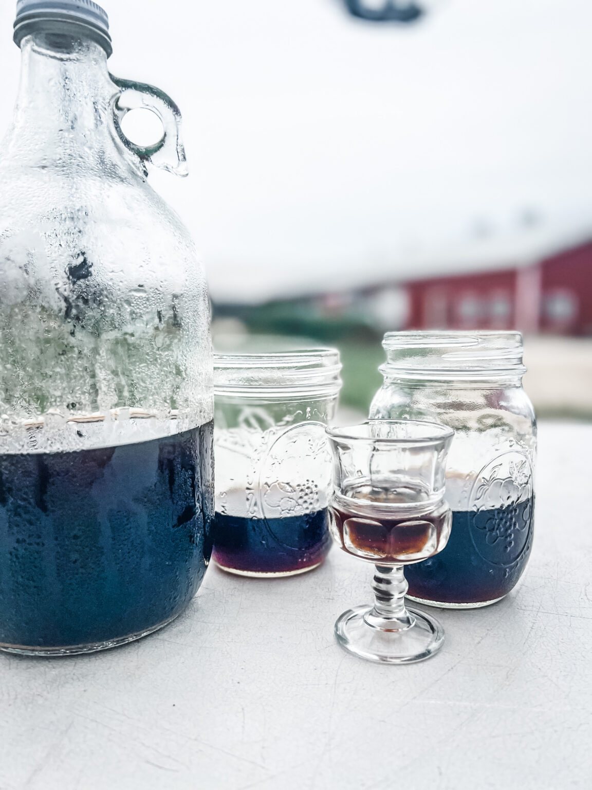 Brewing Homemade Root Beer from Scratch | Just 5 Ingredients! - Hearty Sol