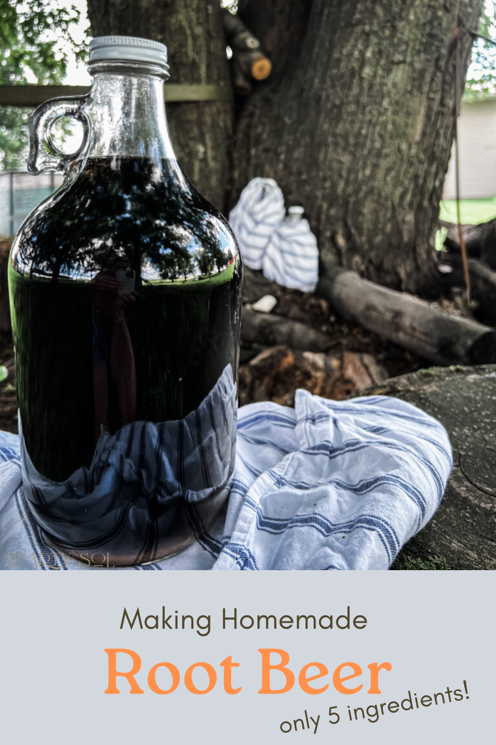 Brewing Homemade Root Beer from Scratch | Just 5 Ingredients! - Hearty Sol