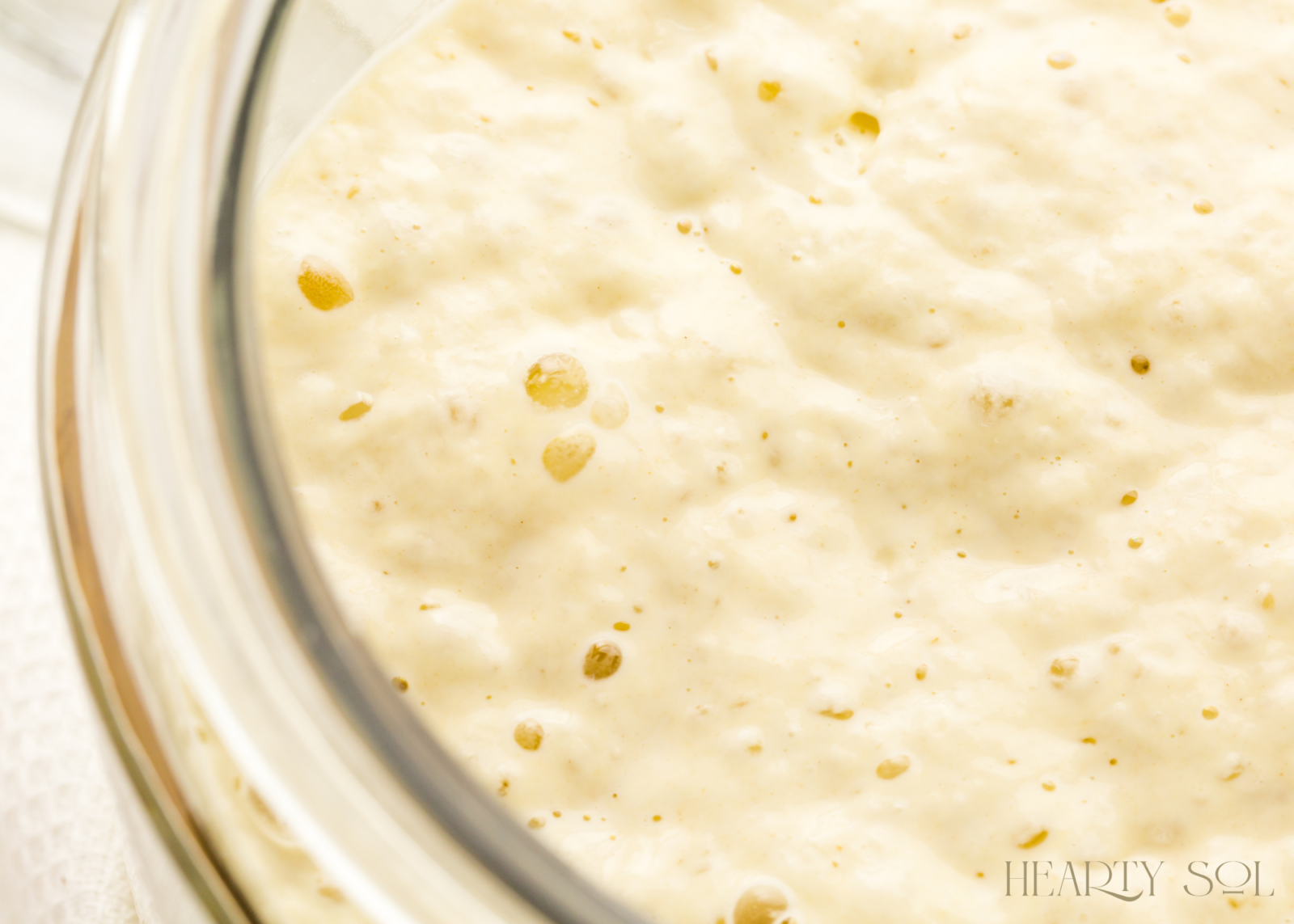 How to keep an Easier Sourdough Starter | Dry Starter Recipe - Hearty Sol