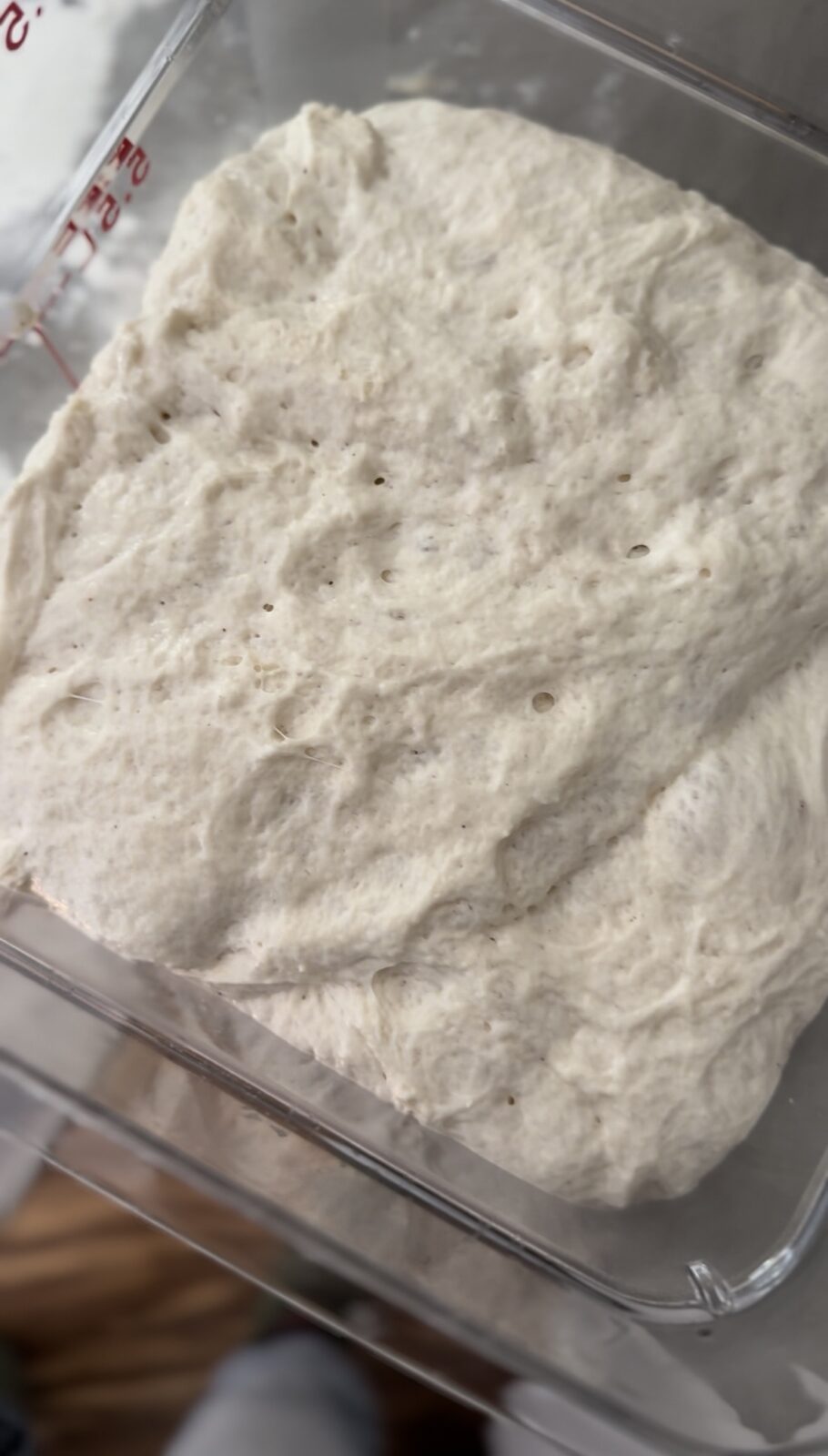 Master Kitchen Dough | All in One Dough Recipe - Hearty Sol