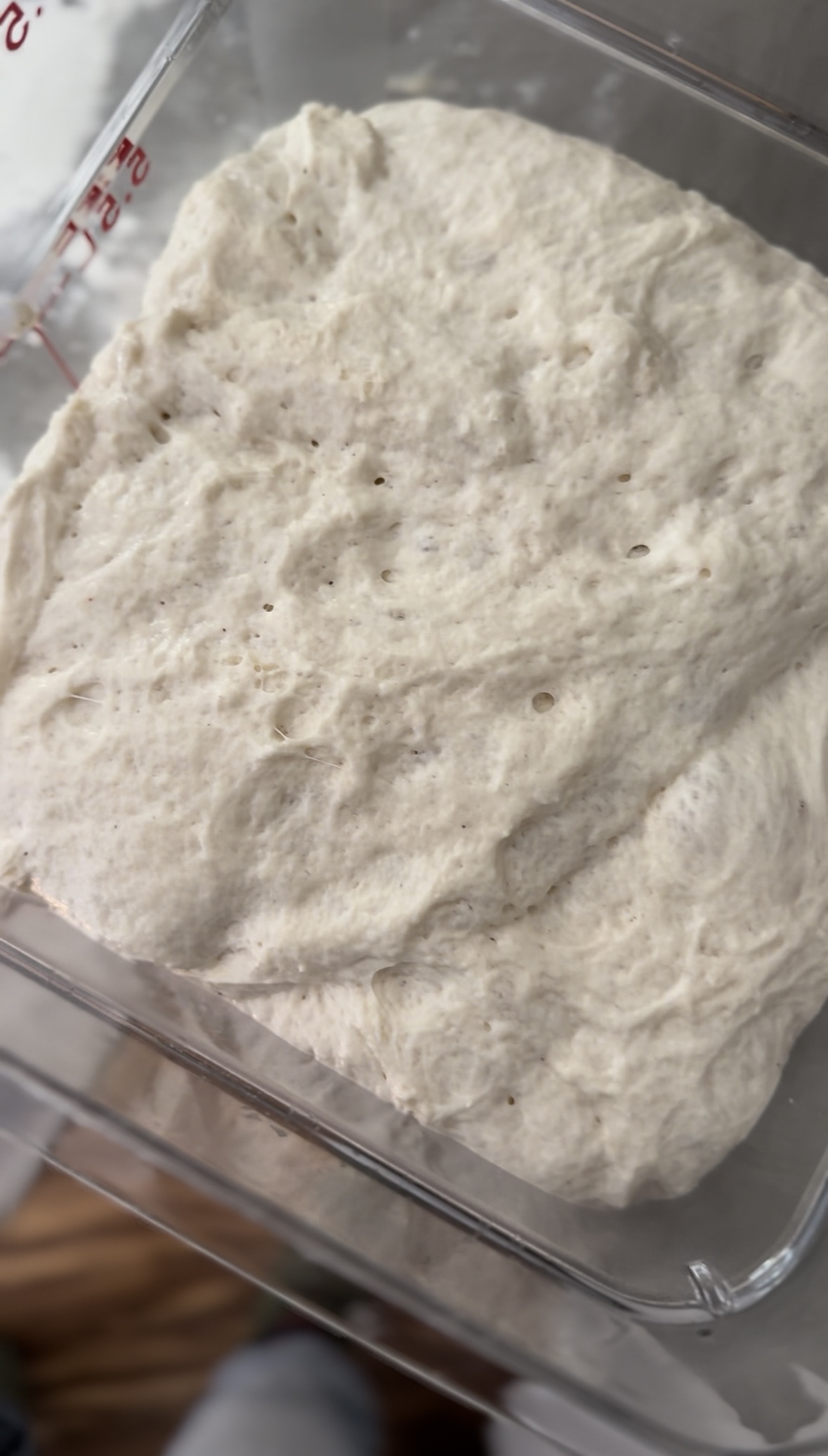 Master Kitchen Dough | All in One Dough Recipe - Hearty Sol