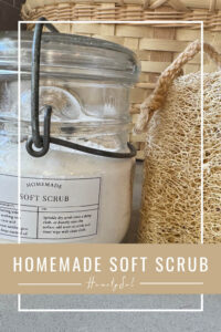 How to Make My Homemade Soft-Scrub Recipe - Hearty Sol