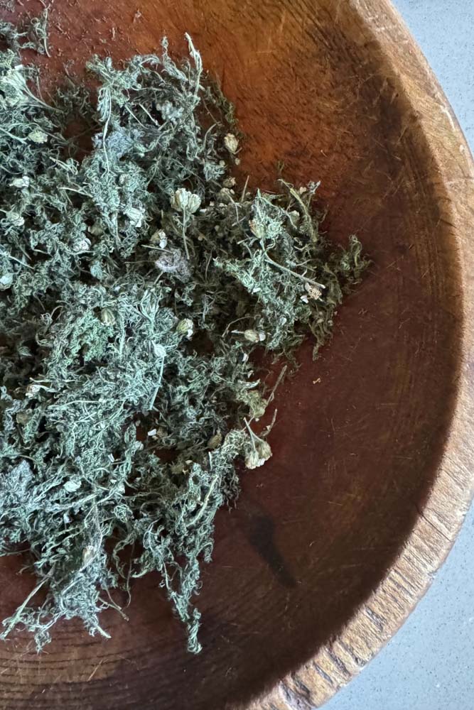 Yarrow: Benefits of this Ancient Healing Herb - Hearty Sol